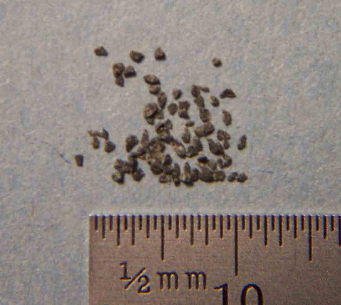 Sample Preparation – UNLV Geoscience